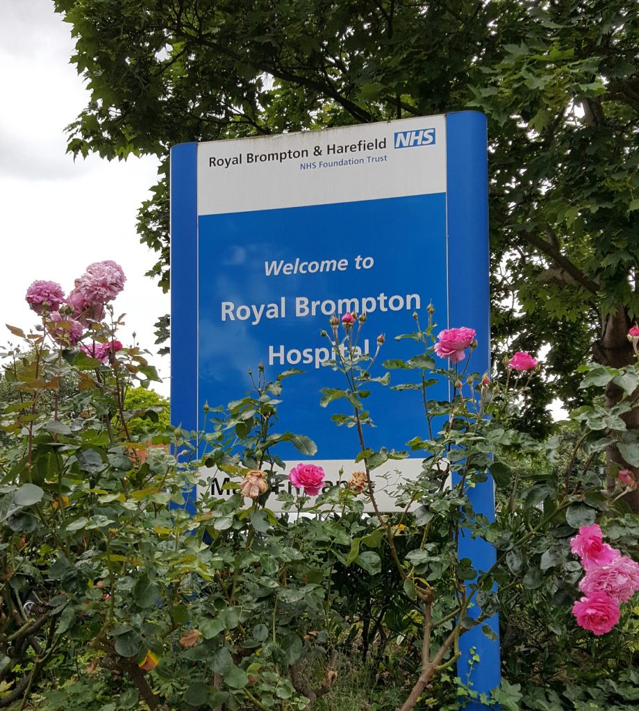 The Chelsea Society | The Royal Brompton Hospital